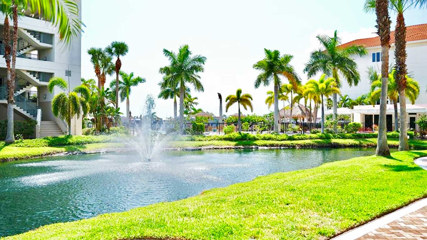 BellaSol Association